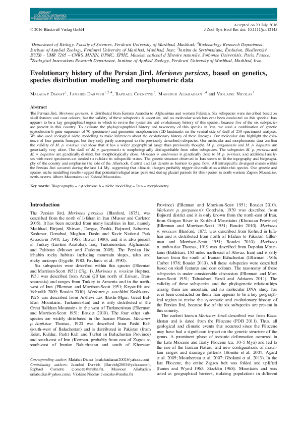 (PDF) Evolutionary history of the Persian Jird, Meriones persicus ...