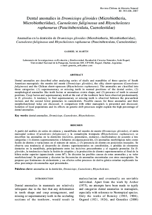 (PDF) Dental anomalies in Dromiciops gliroides (Microbiotheria ...