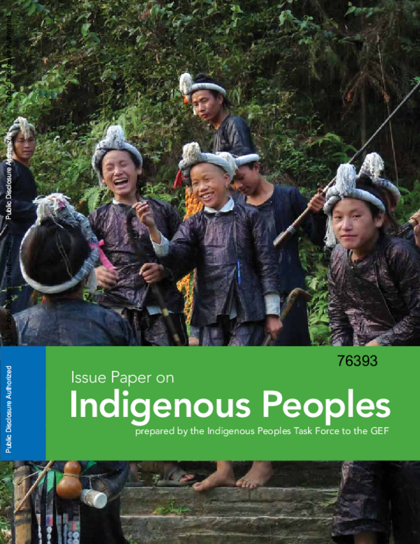 (PDF) Issue paper on indigenous peoples prepared by the indigenous ...