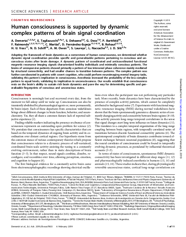 (PDF) Dynamic Brain Patterns in Consciousness & Unconsciousness