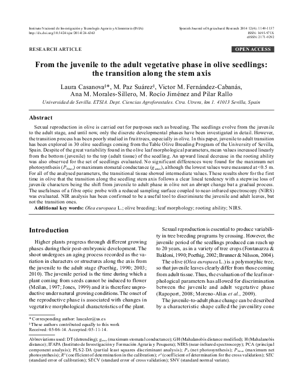 (PDF) From the juvenile to the adult vegetative phase in olive ...