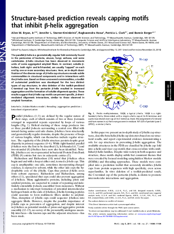 (PDF) Structure-based prediction reveals capping motifs that inhibit ...