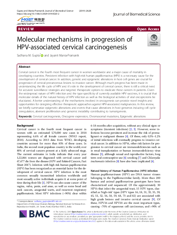 (PDF) Molecular mechanisms in progression of HPV-associated cervical carcinogenesis