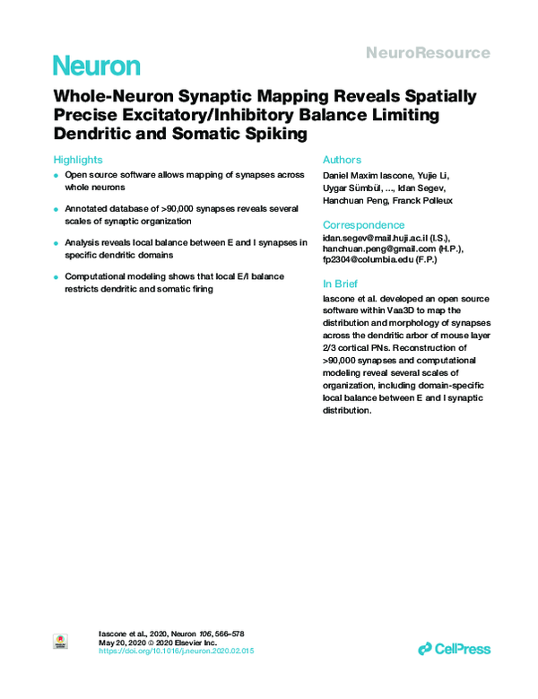 (PDF) Whole-Neuron Synaptic Mapping Reveals Spatially Precise Excitatory/Inhibitory Balance ...