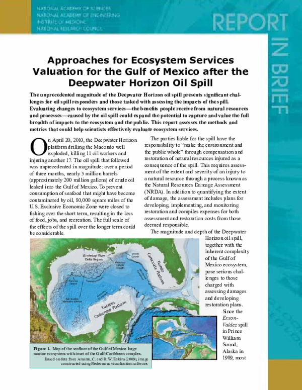 (PDF) Approaches for Ecosystem Services Valuation for the Gulf of ...