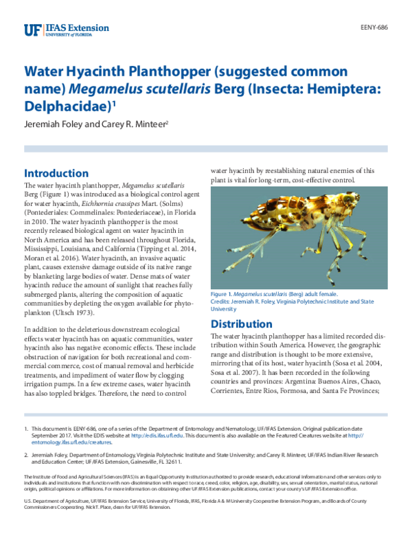 (PDF) Water Hyacinth Planthopper (suggested common name) Megamelus ...