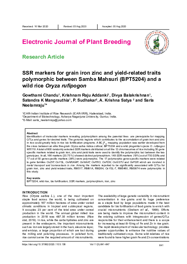 Pdf Ssr Markers For Grain Iron Zinc And Yield Related Traits Polymorphic Between Samba Mahsuri