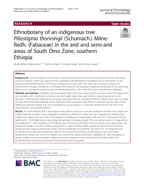 (PDF) Ethnobotany of an indigenous tree Piliostigma thonningii ...