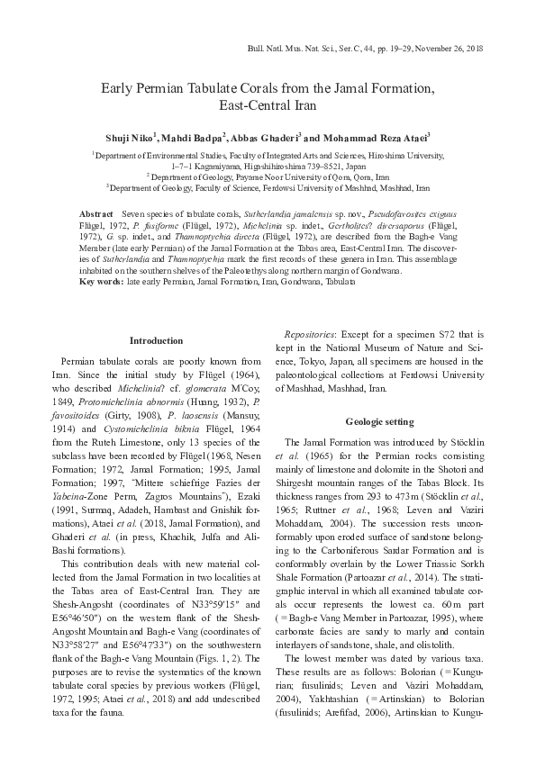 (PDF) Early Permian Tabulate Corals from the Jamal Formation, East ...