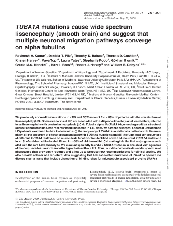 (PDF) TUBA1A mutations cause wide spectrum lissencephaly (smooth brain ...