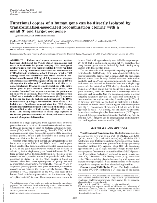 (PDF) Functional copies of a human gene can be directly isolated by ...
