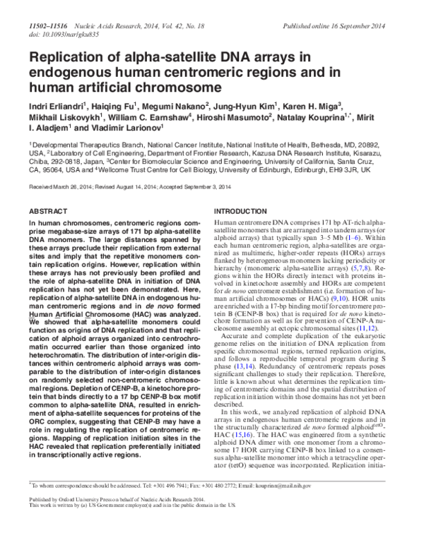 (PDF) Replication of alpha-satellite DNA arrays in endogenous human ...