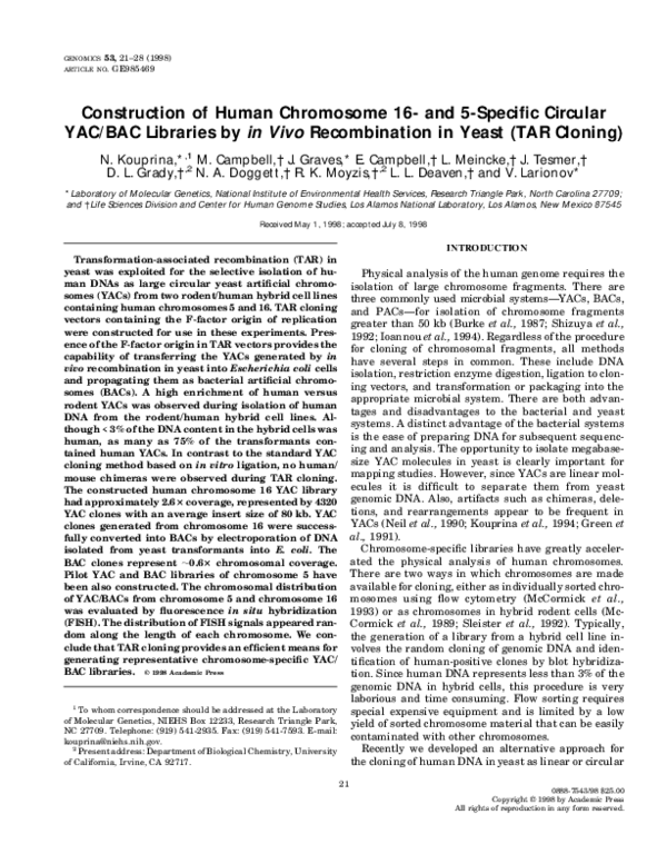 (PDF) Construction of Human Chromosome 16- and 5-Specific Circular YAC ...