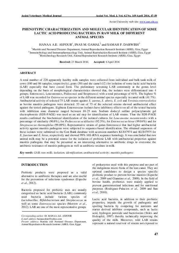 (PDF) Phenotypic Characterization and Molecular Identification of Some Lactic Acid Producing ...