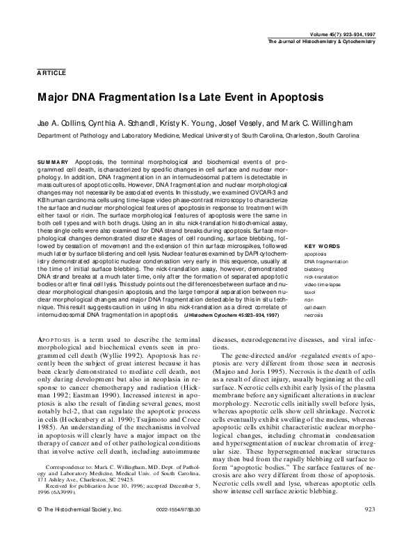 (PDF) Major DNA fragmentation is a late event in apoptosis