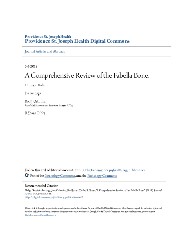 (PDF) A Comprehensive Review of the Fabella Bone