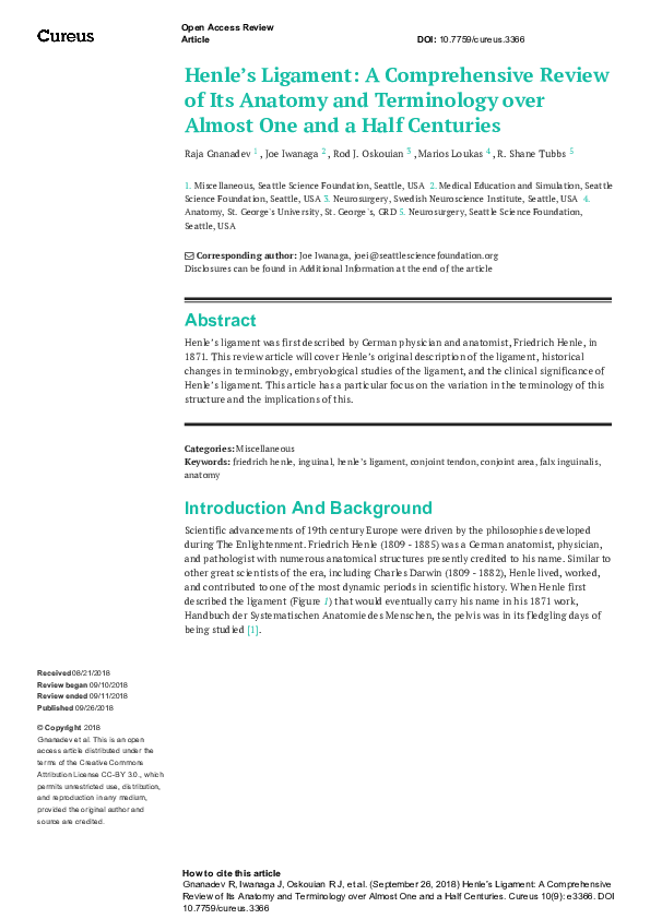 (PDF) Henle’s Ligament: A Comprehensive Review of Its Anatomy and ...