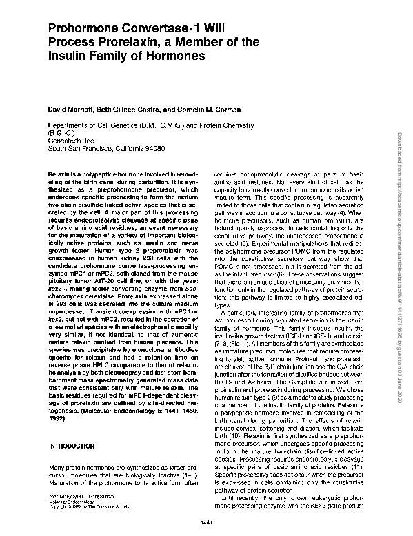 (PDF) Prohormone convertase-1 will process prorelaxin, a member of the ...