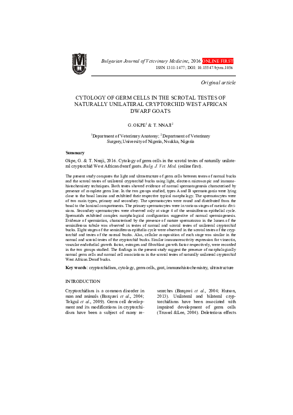 (PDF) Cytology of germ cells in the scrotal testes of naturally unilate ...