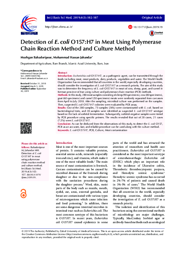 (PDF) Detection of E. coli O157:H7 in Meat Using Polymerase Chain ...