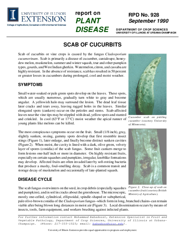 (PDF) Scab of Cucurbits
