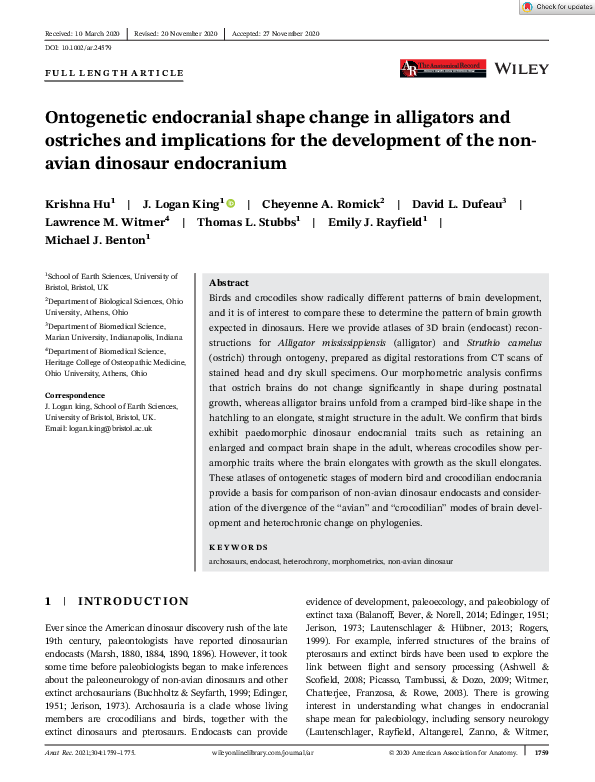 (PDF) Ontogenetic endocranial shape change in alligators and ostriches ...