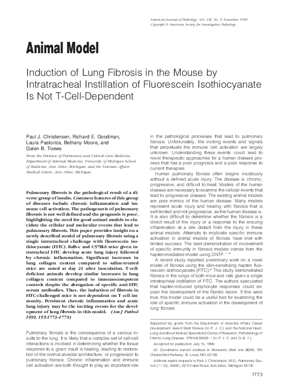 (PDF) Induction of Lung Fibrosis in the Mouse by Intratracheal ...