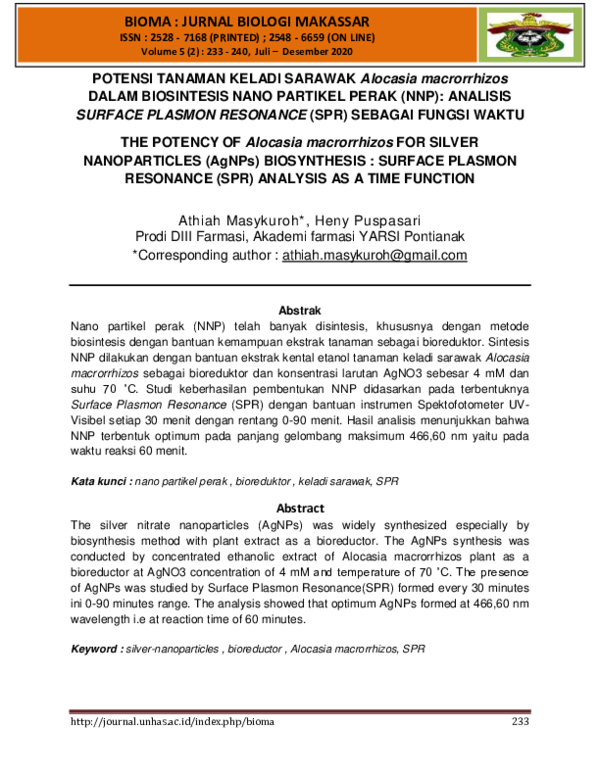 (PDF) POTENSI TANAMAN KELADI SARAWAK Alocasia macrorrhizos DALAM ...