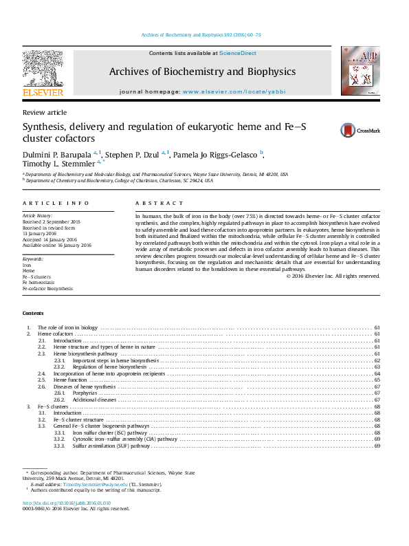(PDF) Synthesis, Delivery and Regulation of Eukaryotic Heme and Fe-S ...