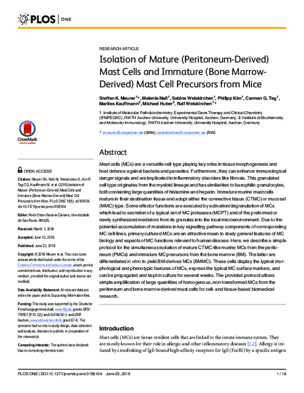 (PDF) Isolation of Mature (Peritoneum-Derived) Mast Cells and Immature ...