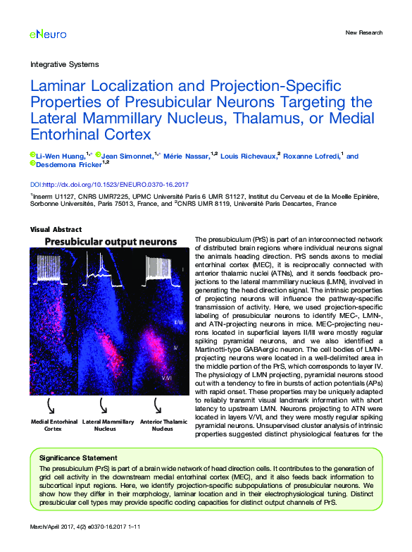(PDF) Laminar Localization and Projection-Specific Properties of Presubicular Neurons Targeting ...
