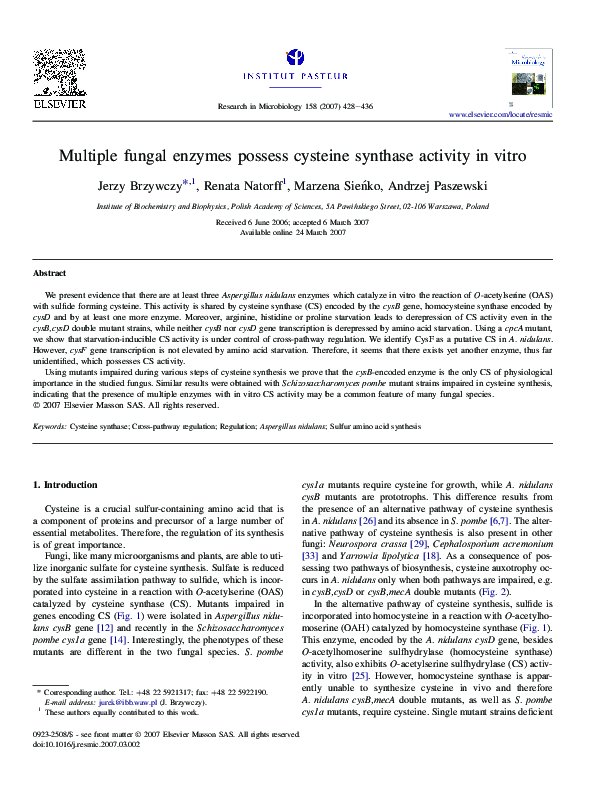 (PDF) Multiple fungal enzymes possess cysteine synthase activity in vitro