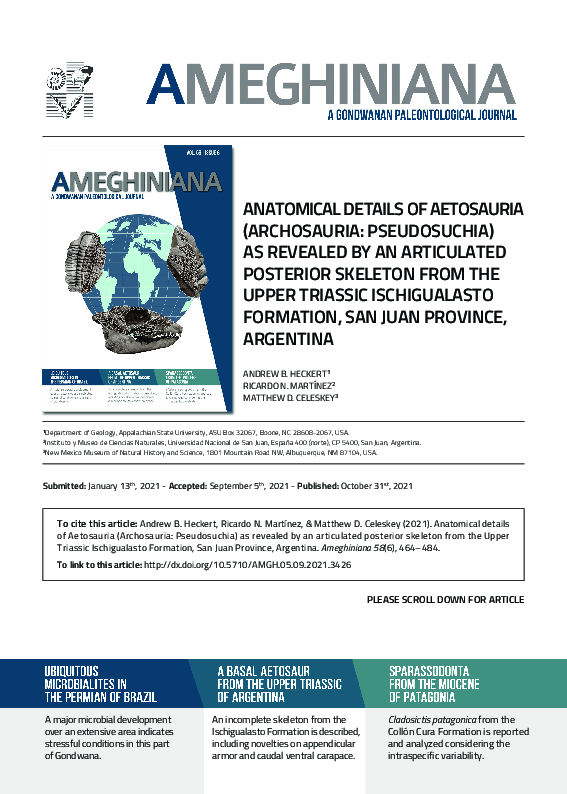 (PDF) Anatomical Details of Aetosauria (Archosauria:Pseudosuchia) as ...