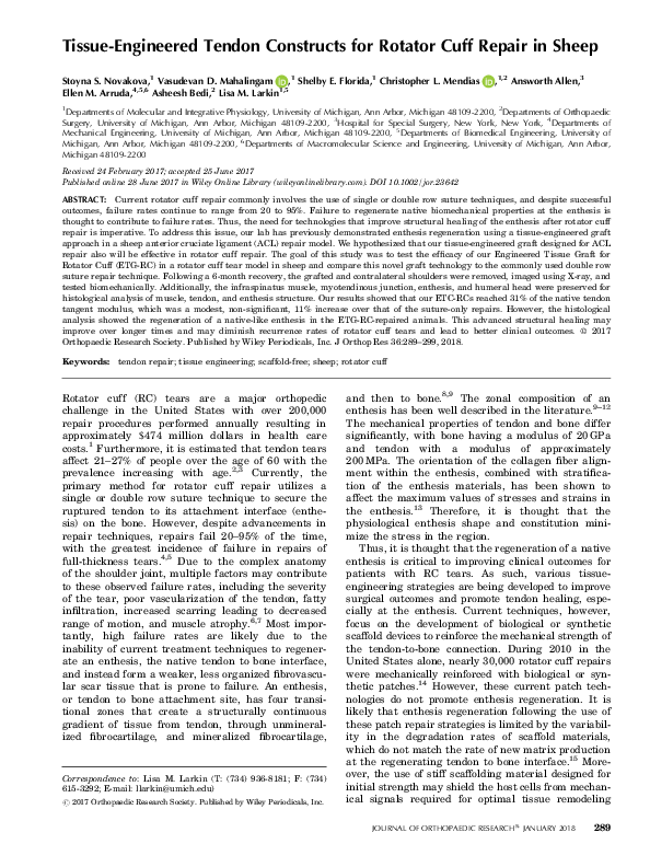 (PDF) Tissue-engineered tendon constructs for rotator cuff repair in sheep