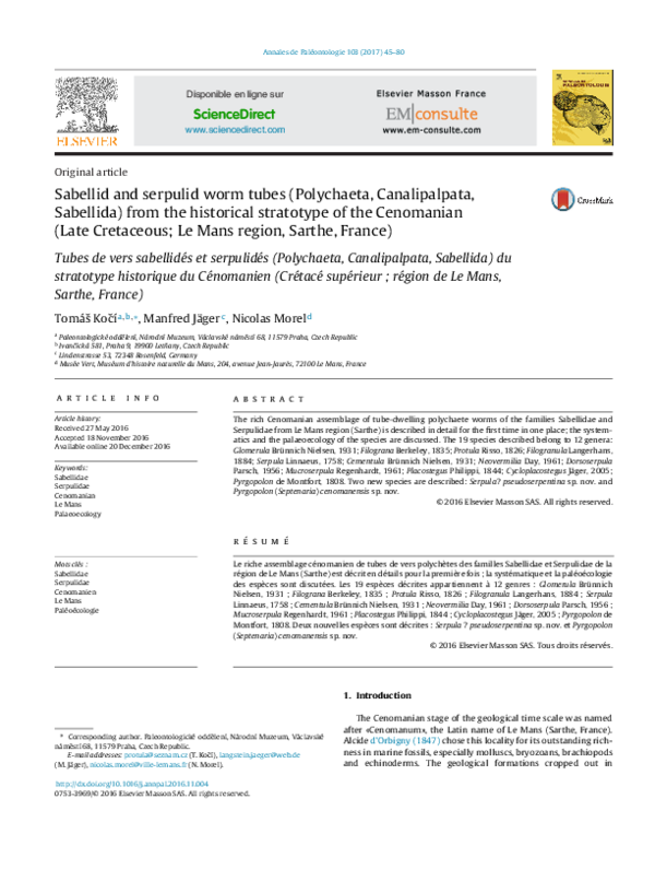 (PDF) Sabellid and serpulid worm tubes (Polychaeta, Canalipalpata ...