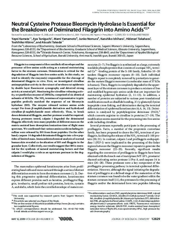 (PDF) Neutral cysteine protease bleomycin hydrolase is essential for ...