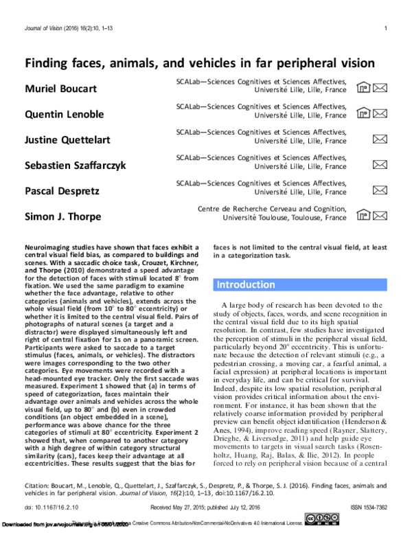 (PDF) Finding faces, animals, and vehicles in far peripheral vision