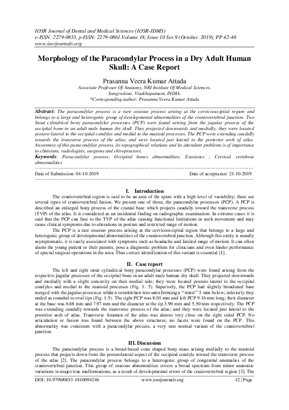 (PDF) Morphology of the Paracondylar Process in a Dry Adult Human Skull ...