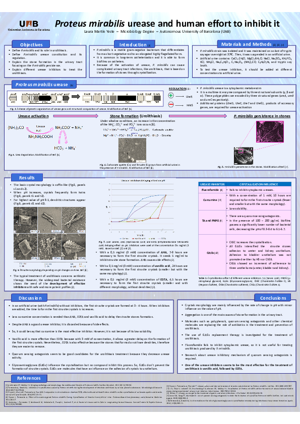 (PDF) Proteus mirabilis urease and human effort to inhibit it