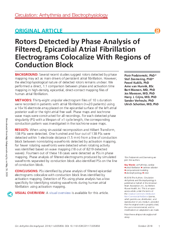 (PDF) Rotors Detected by Phase Analysis of Filtered, Epicardial Atrial ...