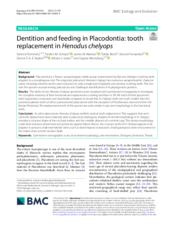 (PDF) Dentition and feeding in Placodontia: tooth replacement in ...