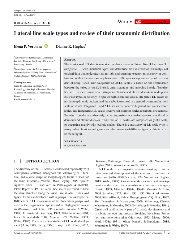 (PDF) Lateral line scale types and review of their taxonomic distribution
