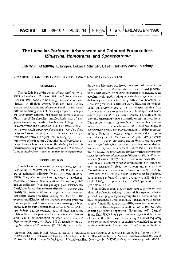 (PDF) The lamellar-perforate, arborescent and coloured foraminifers ...