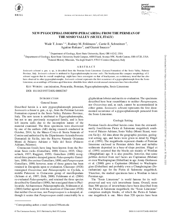 (PDF) New pygocephalomorph (Peracarida) from the Permian of the Sosio ...