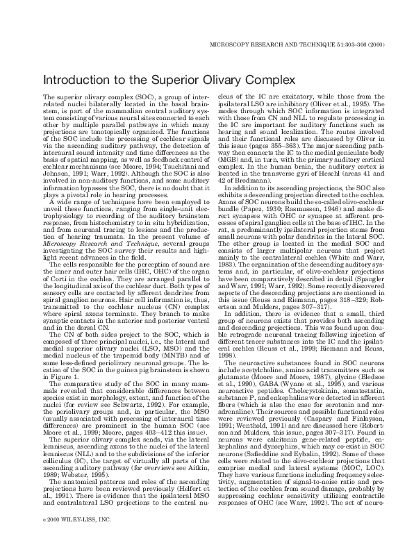 (PDF) Introduction to the superior olivary complex