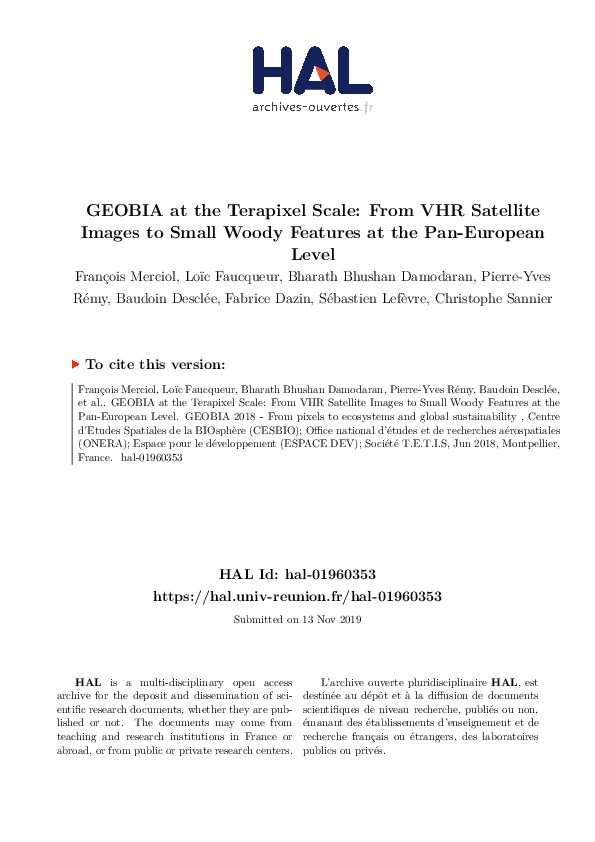 (PDF) GEOBIA at the Terapixel Scale: From VHR Satellite Images to Small ...
