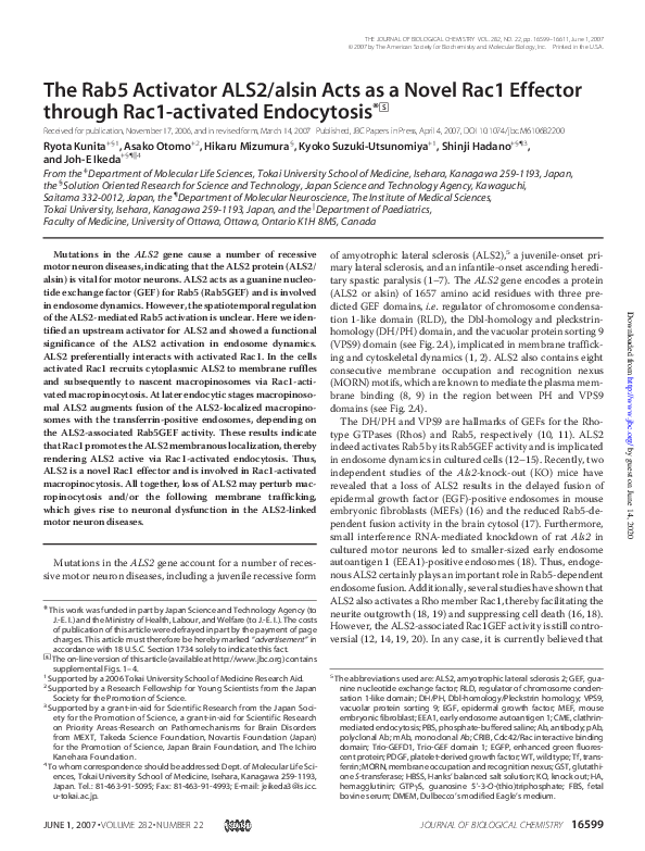 (PDF) The Rab5 Activator ALS2/alsin Acts as a Novel Rac1 Effector ...