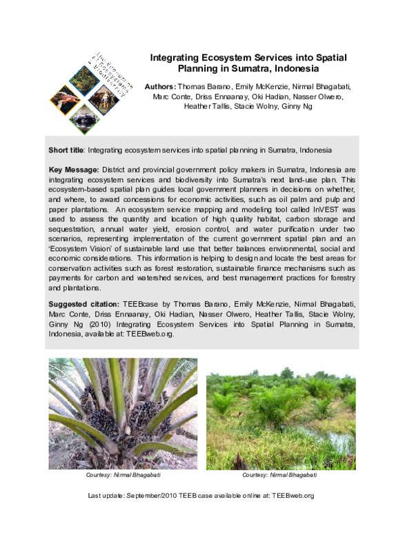 (PDF) Integrating Ecosystem Services into Spatial Planning in Sumatra, Indonesia