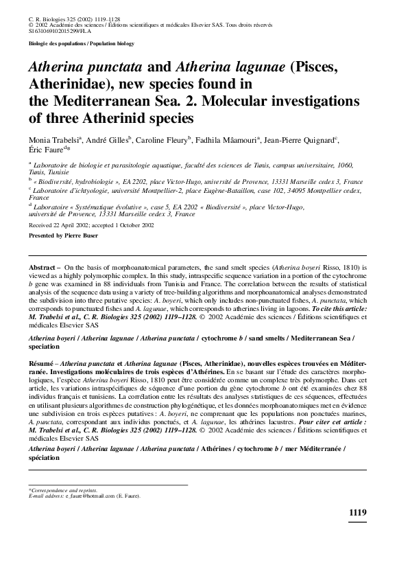 (PDF) Atherina punctata and Atherina lagunae (Pisces, Atherinidae), new ...