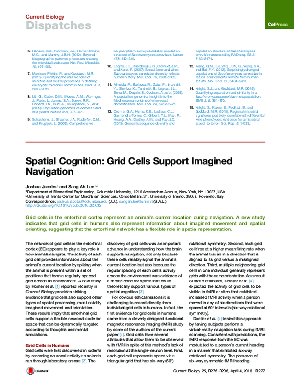 (PDF) Spatial Cognition: Grid Cells Support Imagined Navigation